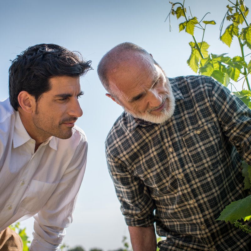 CAVA Academy presencial-Del 7 al 8 de abril- – Fem Maridatge